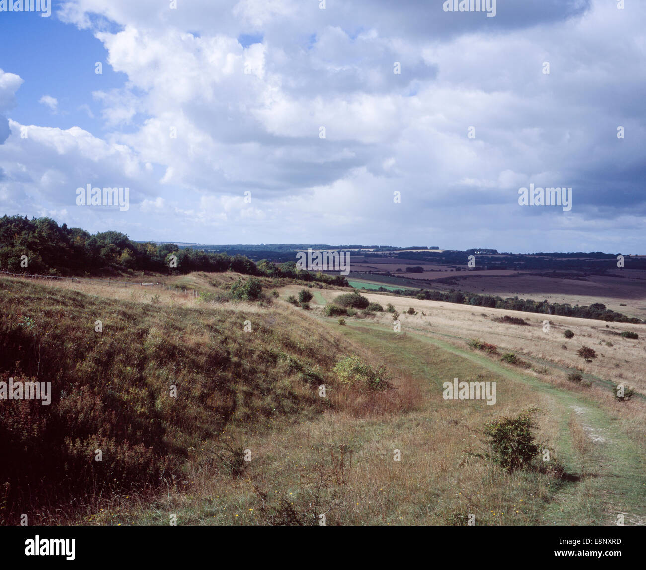 Cranborne village dorset hi-res stock photography and images - Alamy