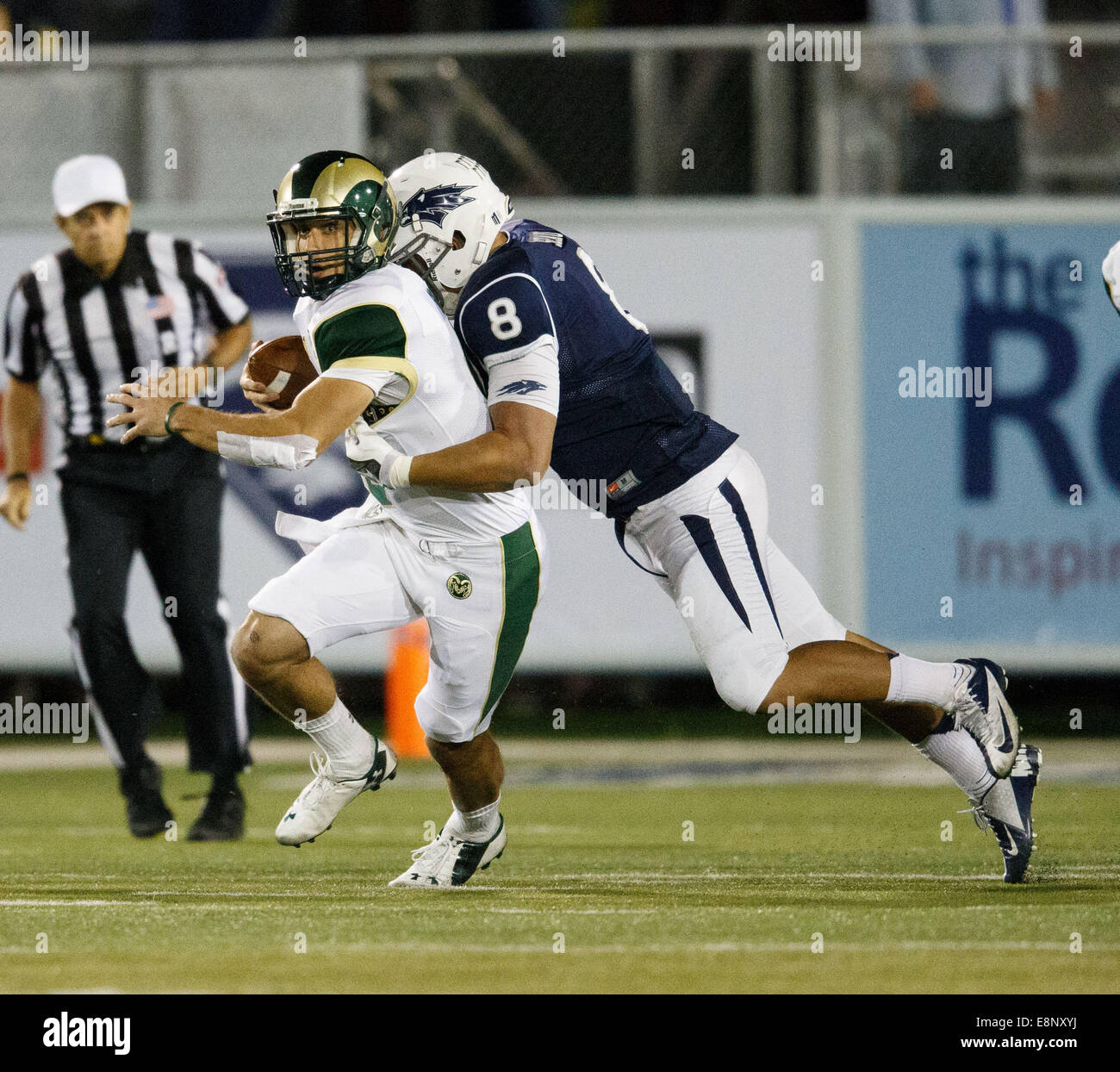 Csu colorado football 8 jpg hi-res stock photography and images - Alamy