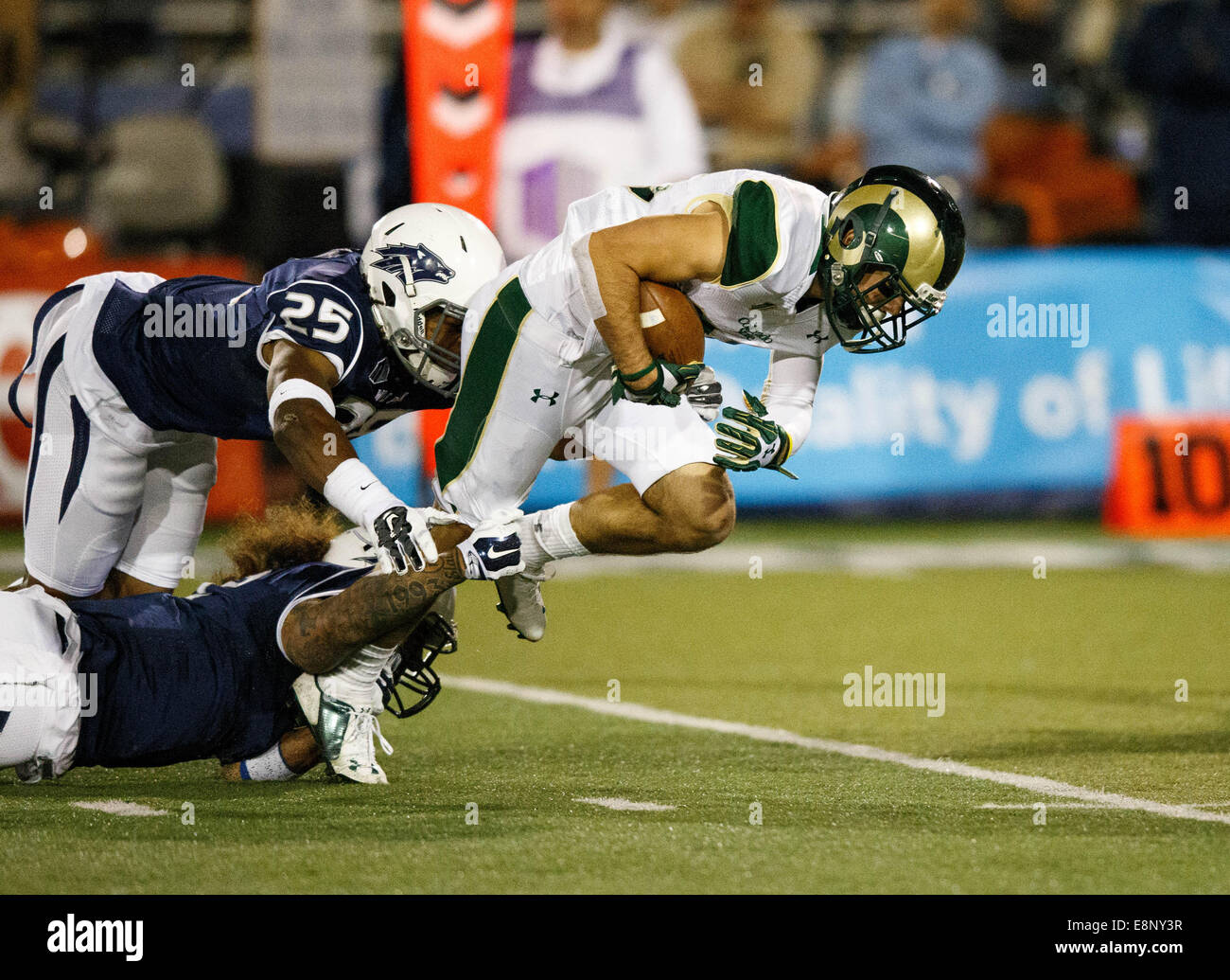 University of nevada wolfpack hi-res stock photography and images - Alamy