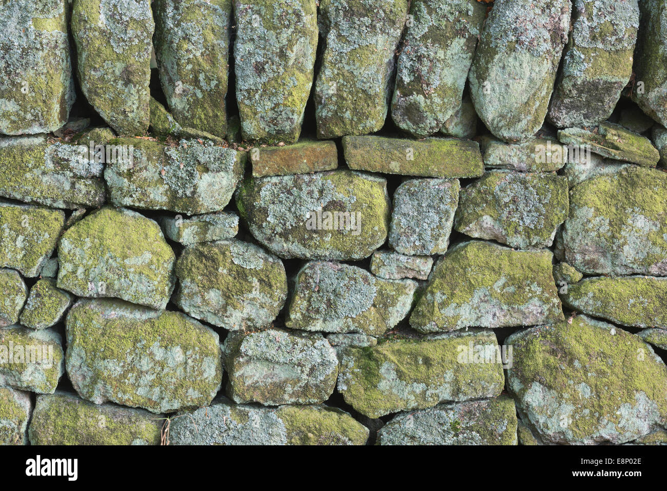 Mossy cobblestone tweak: Two new blocks – Minecraft Feedback
