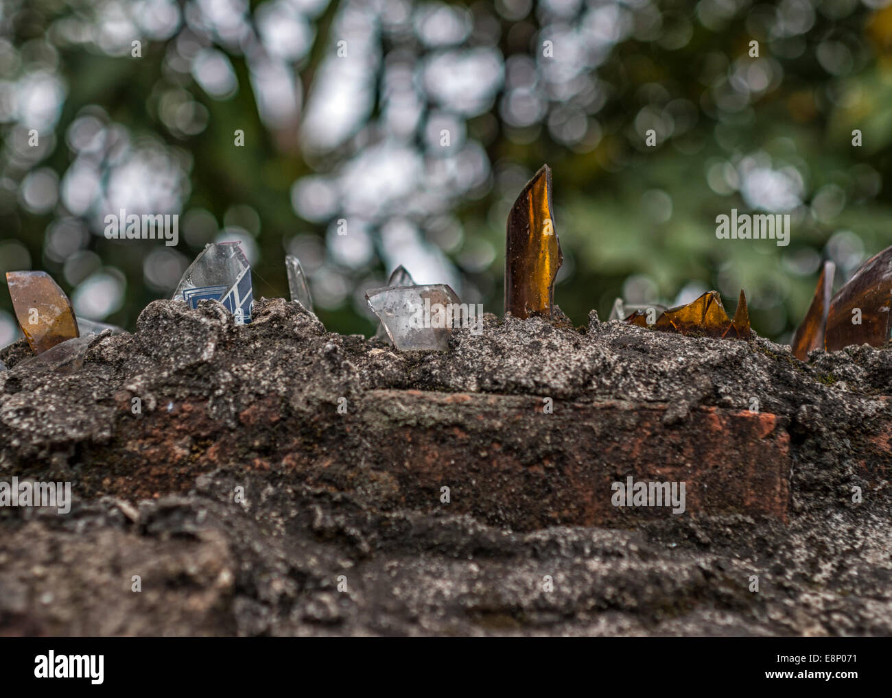 Brown and clear sharp glass flakes look very dangerous Stock Photo - Alamy