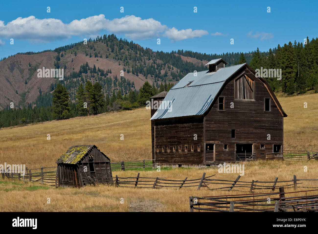 Eastern washington grasslands hi-res stock photography and images - Alamy