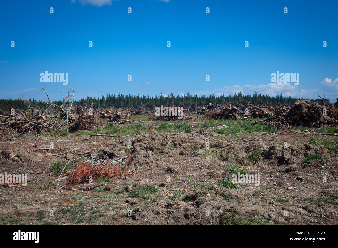 Clearing Land For Farming High Resolution Stock Photography and Images ...