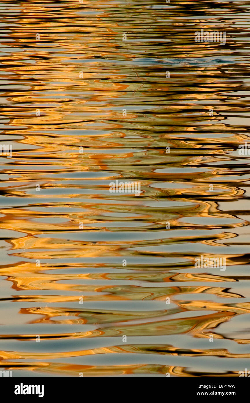 Bellevue downtown city park with pond and abstract reflections at ...
