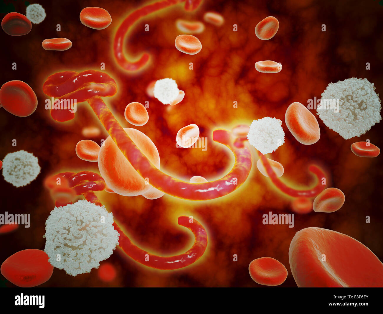 Image of virus hi-res stock photography and images - Alamy