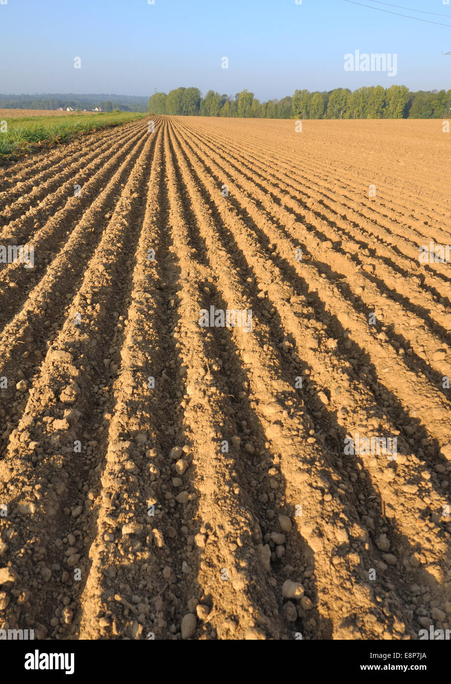 Forming field hi-res stock photography and images - Alamy