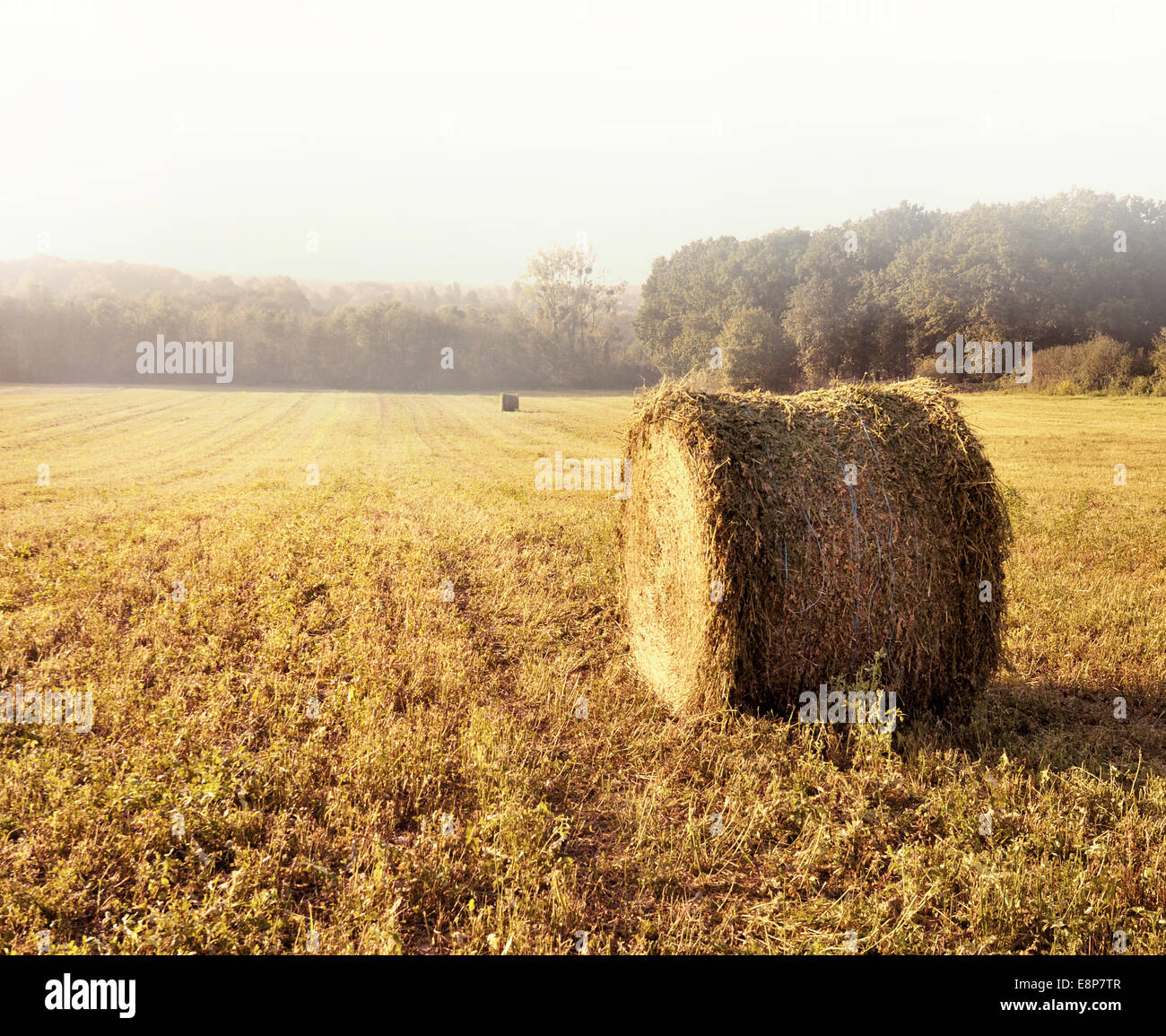 country landscape with a haystack in a field, toned aged Stock Photo ...