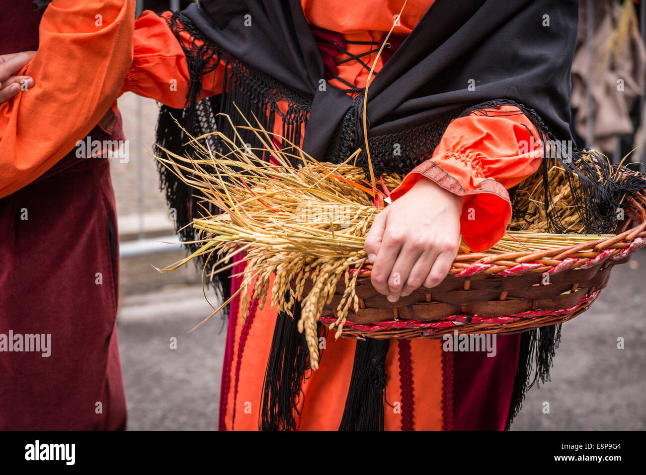 Each year in the city of Lacchiarella is the festival of the goose ...