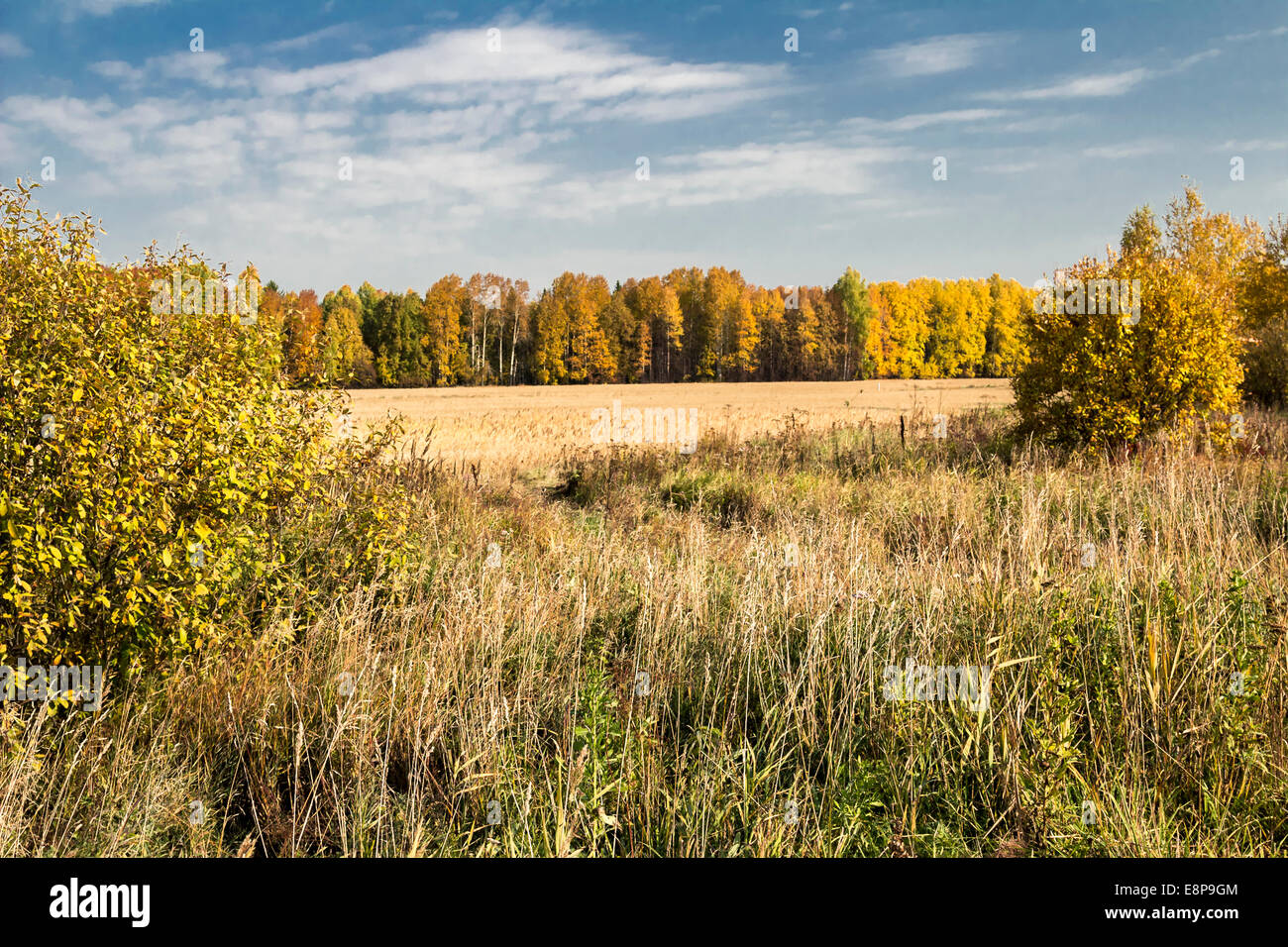 Autumn sketches and landscapes, nature of Siberia, near the city of ...