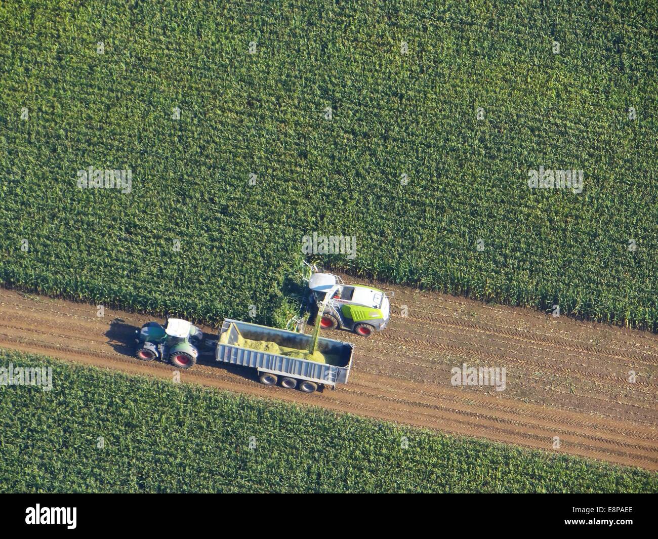 Aerial view of corn harvest Stock Photo - Alamy