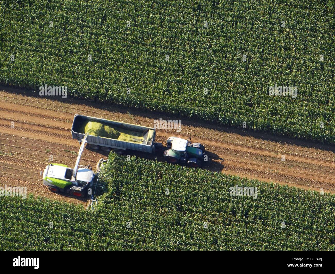 Aerial view of corn harvest Stock Photo - Alamy