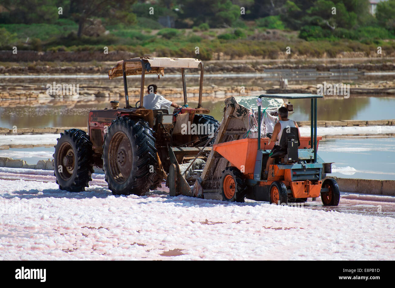 Sea salt production Stock Photo - Alamy