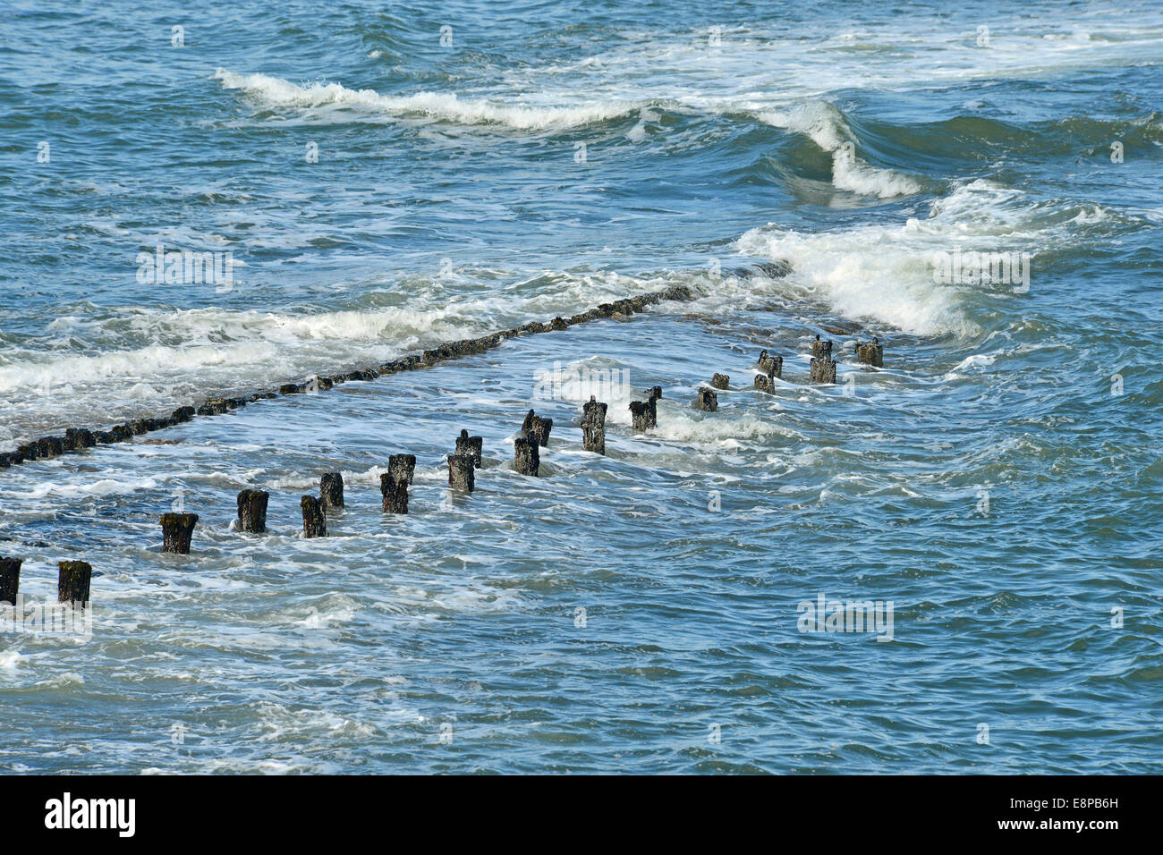 Wooden groyne bathed from the sparkling water of the North Sea, 19 ...