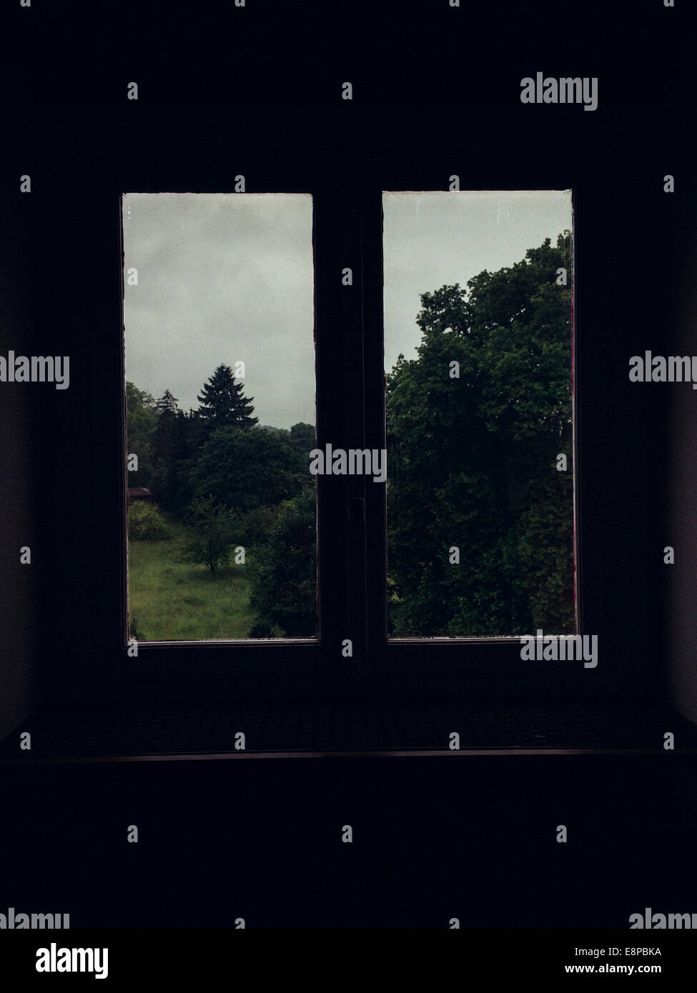 Trees through the window hi-res stock photography and images - Alamy