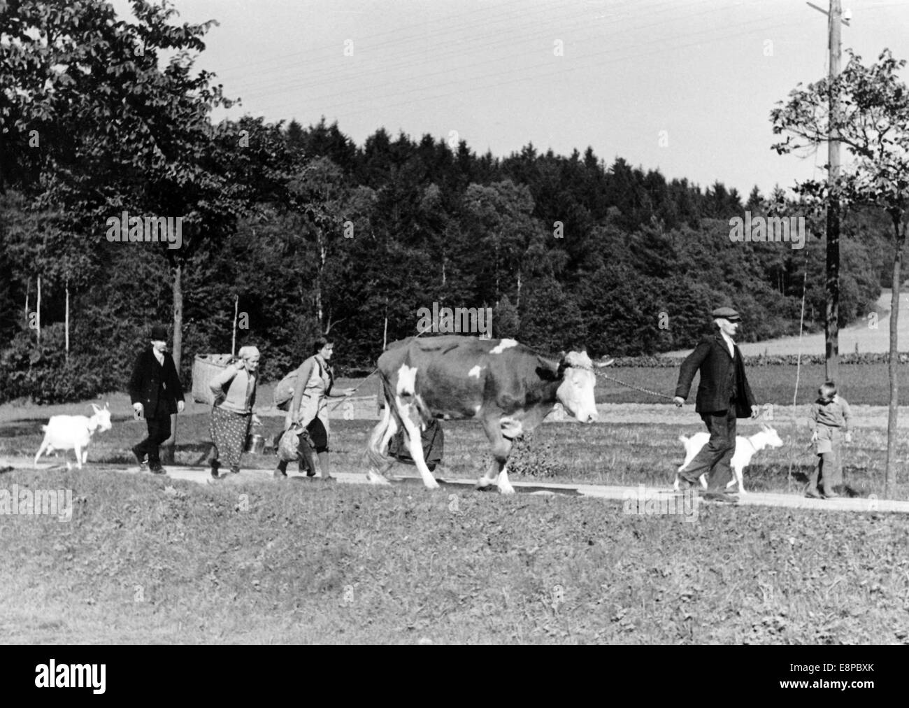 The picture from the Nazi news service shows Sudetenland German men ...