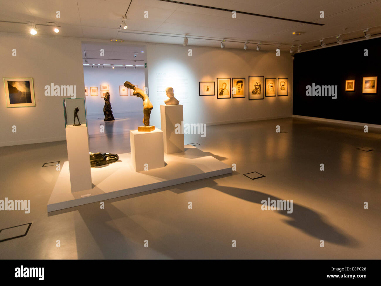 BAM, Beau Arts Museum, Museum of Fine Arts, the Art Museum re-opened ...