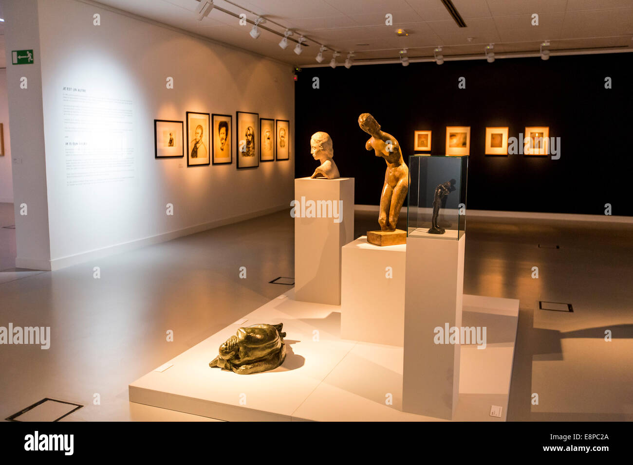 BAM, Beau Arts Museum, Museum of Fine Arts, the Art Museum re-opened ...