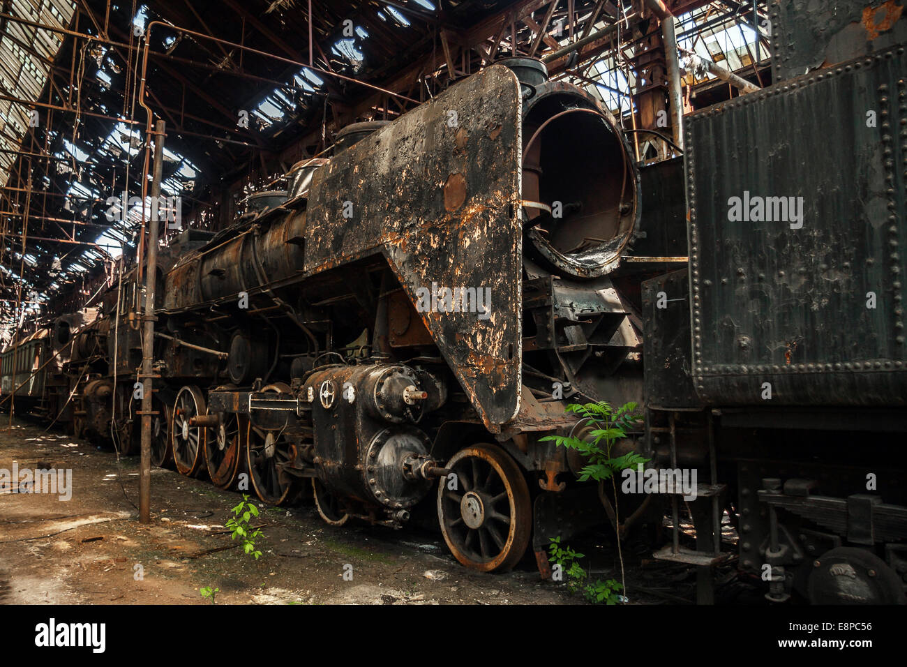 Old trains at abandoned train depot Stock Photo - Alamy