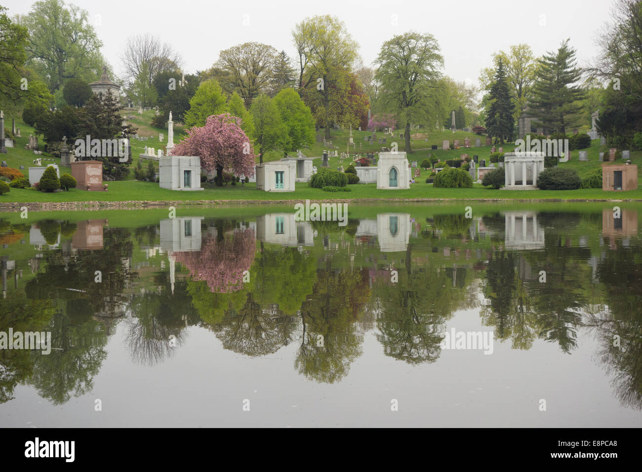 Brooklyn wren hi-res stock photography and images - Alamy