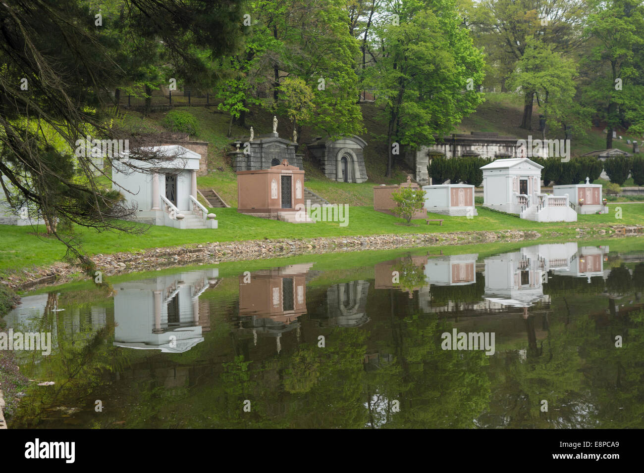 Brooklyn wren hi-res stock photography and images - Alamy