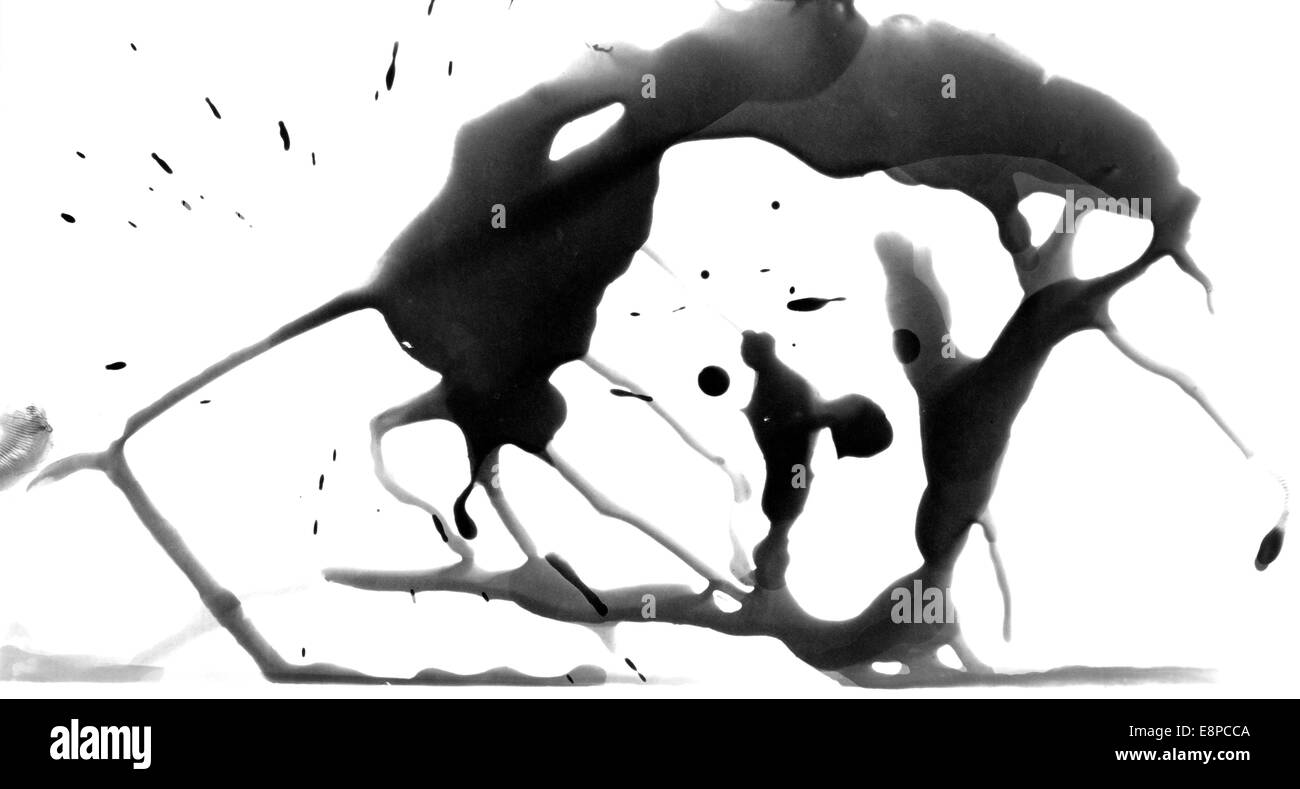 Fleck of dust Black and White Stock Photos & Images - Alamy