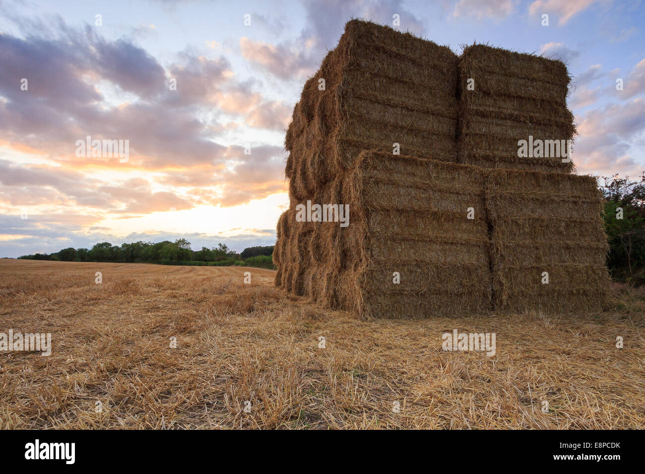 Stacked hay bails hi-res stock photography and images - Alamy