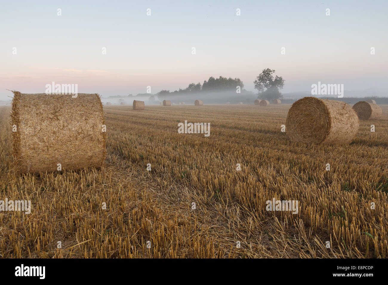 Harvest hay bails hi-res stock photography and images - Alamy