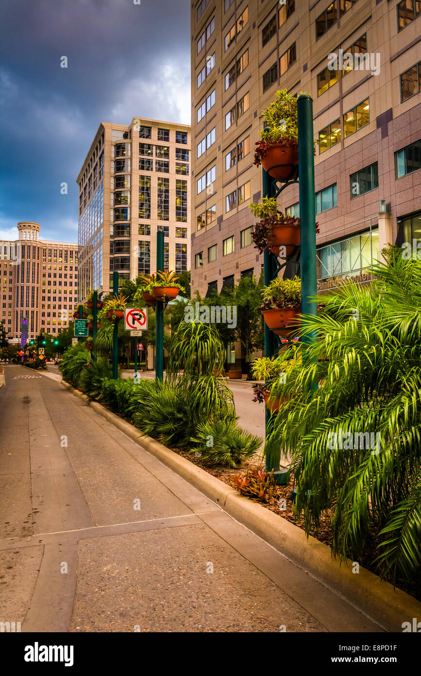 Downtown orlando street hi-res stock photography and images - Alamy