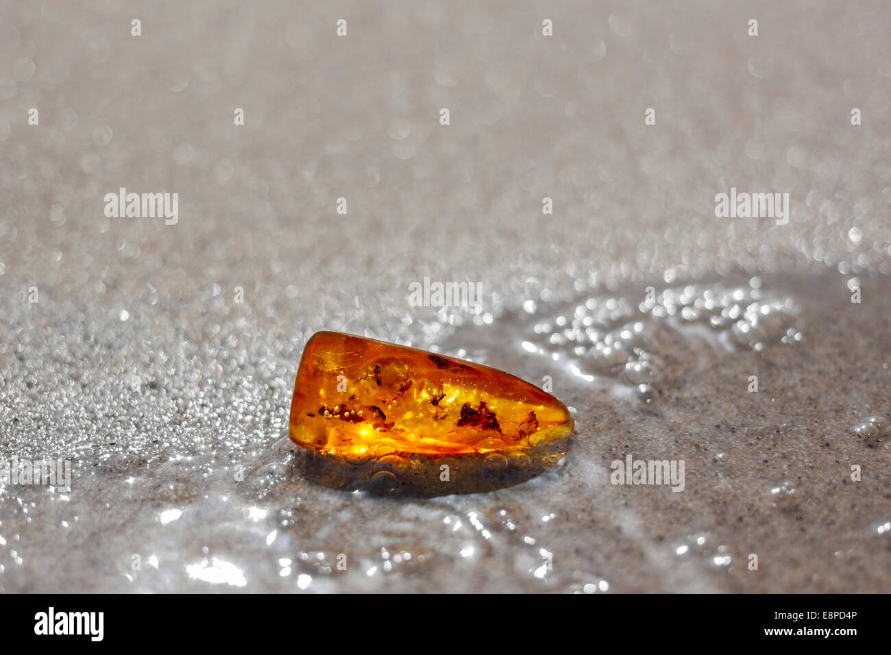 baltic amber sand water insect inclusion background Stock Photo - Alamy