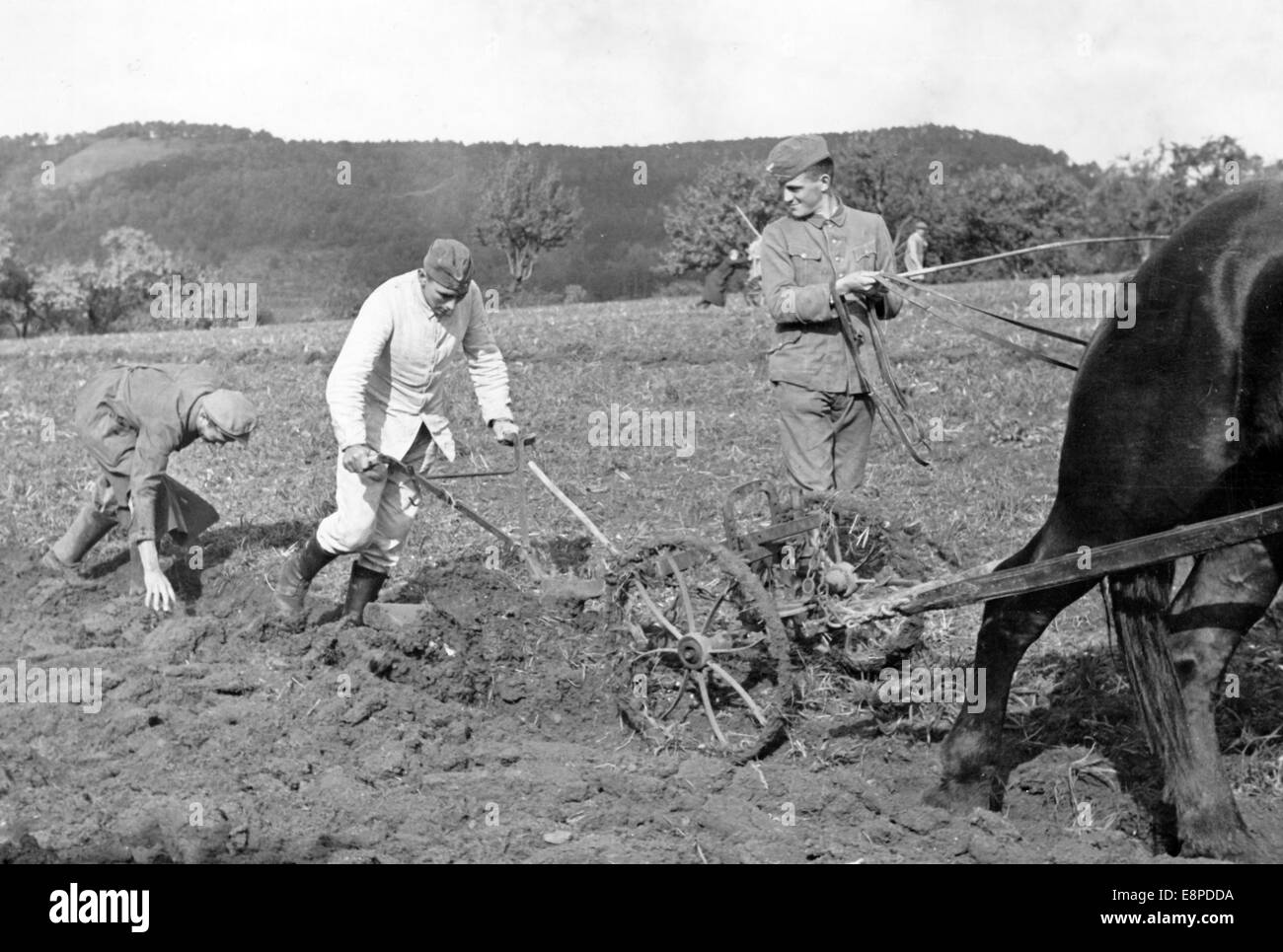 German labor service Black and White Stock Photos & Images - Alamy