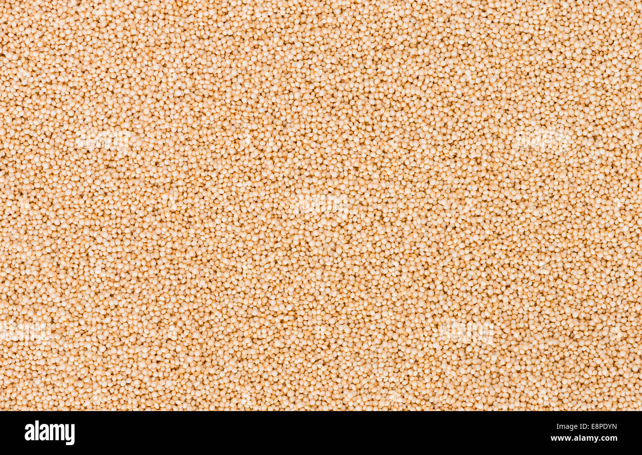 Portion of Amaranth for use as background image or as texture Stock ...