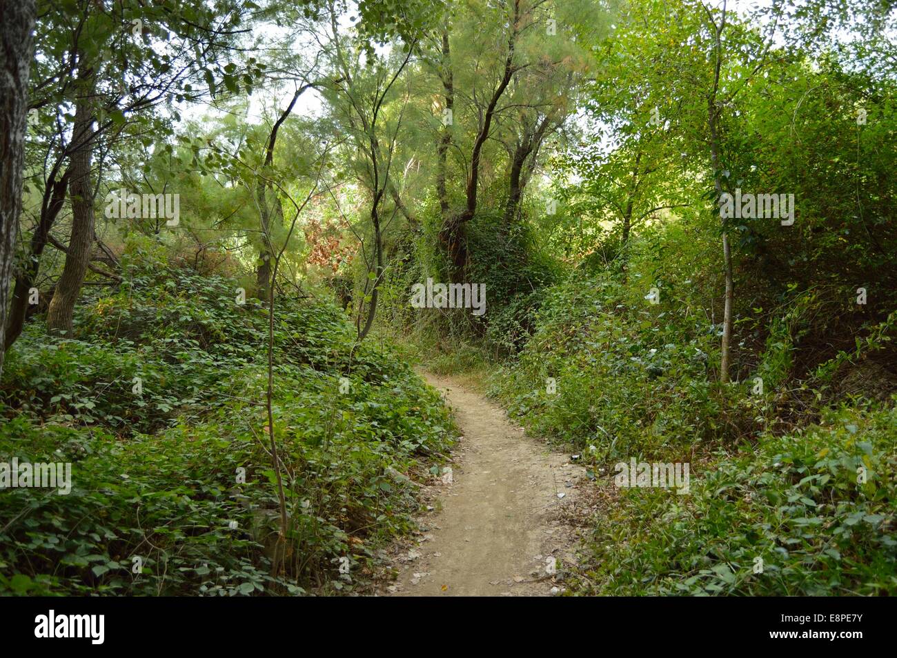 Natural path hi-res stock photography and images - Alamy