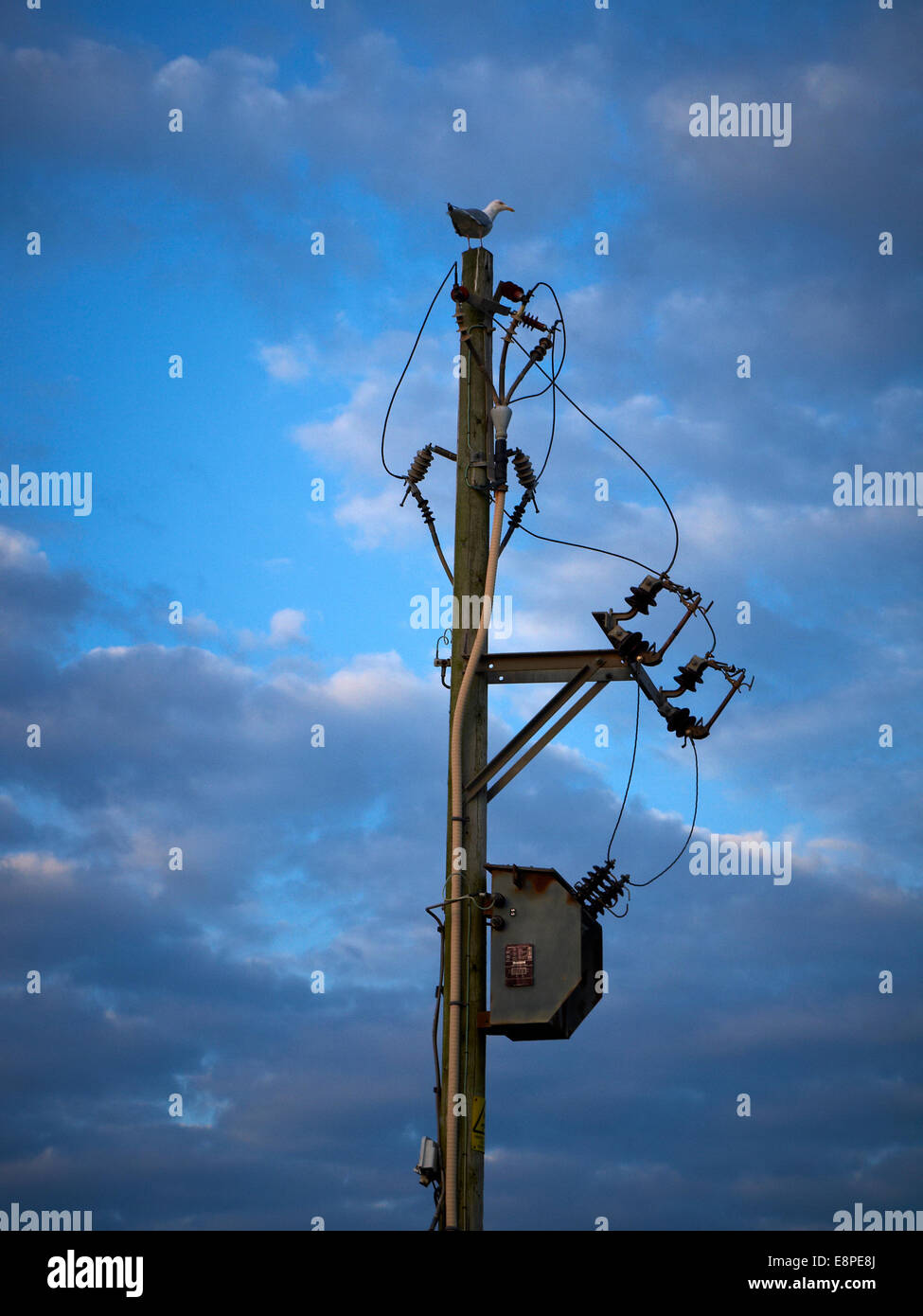 Large high voltage electrical pole and transformer UK Stock Photo - Alamy