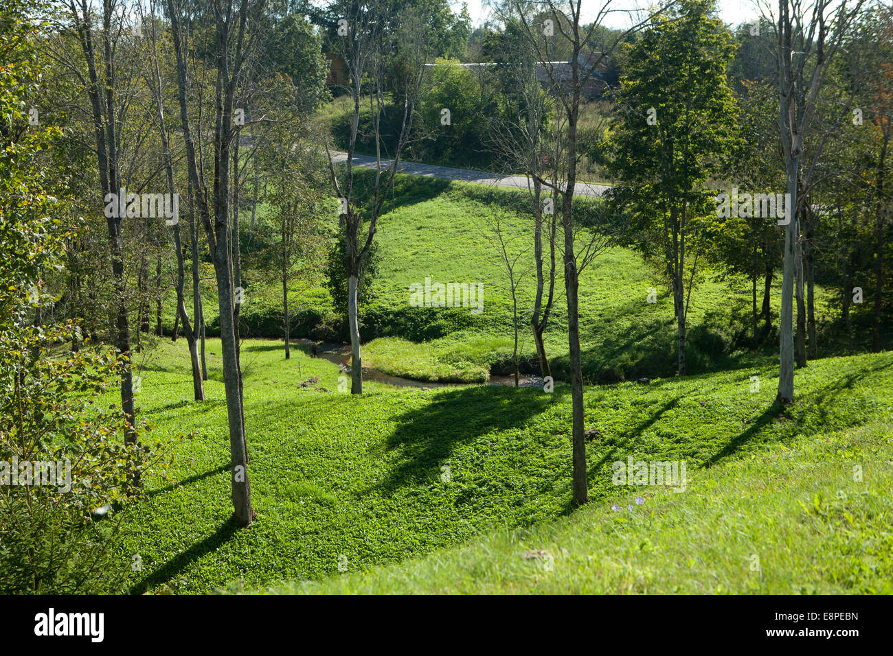 Piusa River High Resolution Stock Photography and Images - Alamy