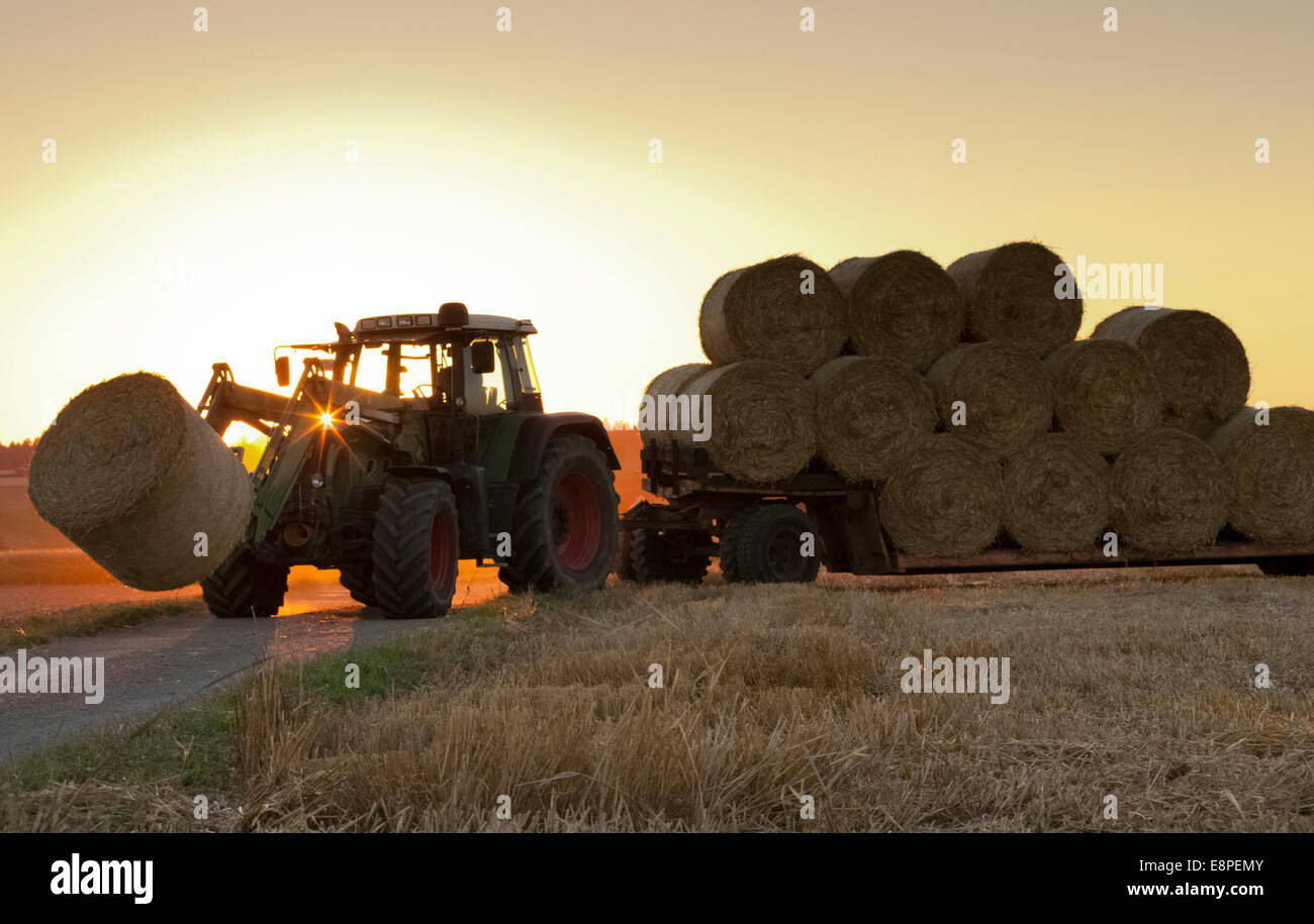 Tractor at work bring bales of hay and straw home Stock Photo - Alamy
