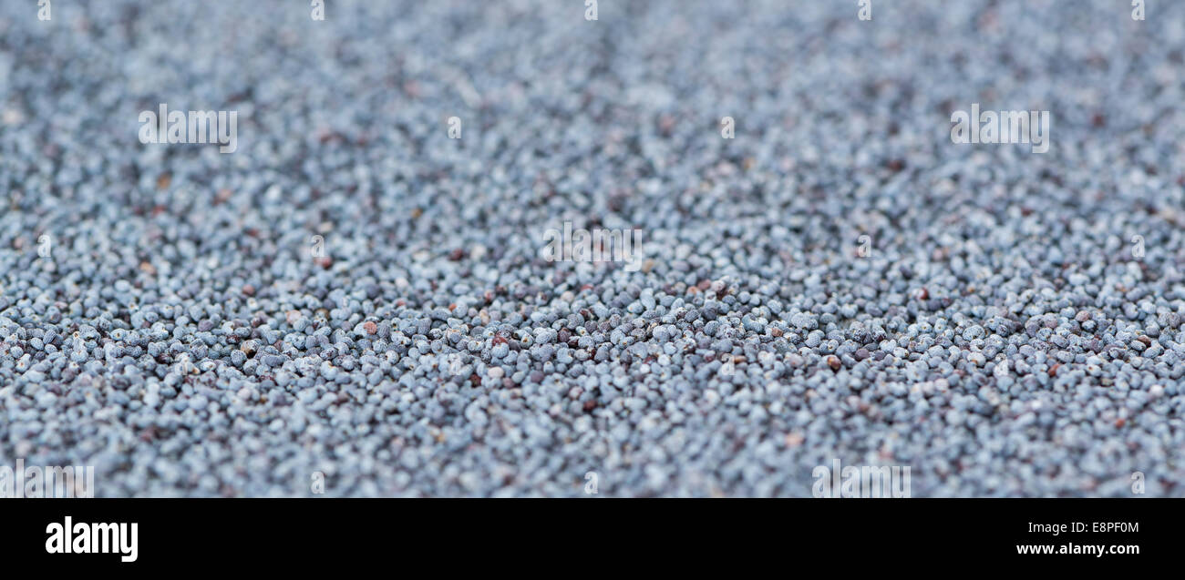 Poppyseed Background or Texture (detailed close-up shot Stock Photo - Alamy