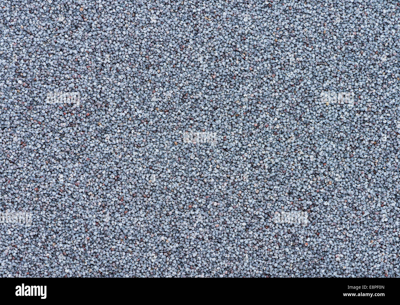 Poppyseed close-up shot for use as background or texture Stock Photo ...