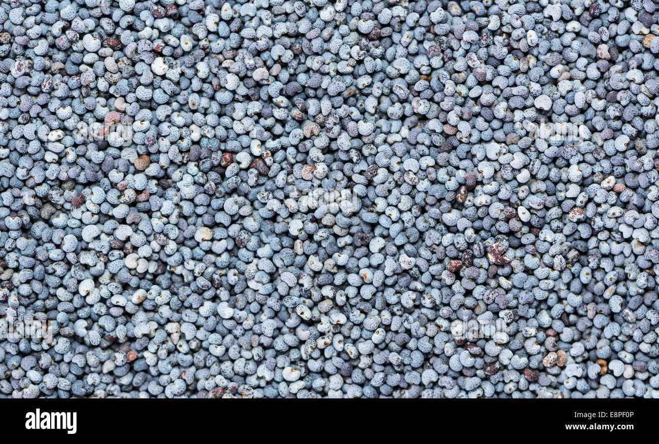 Poppyseed Background or Texture (detailed close-up shot Stock Photo - Alamy