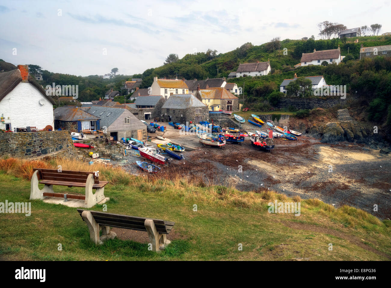 Cadgwith cornwall hi-res stock photography and images - Alamy