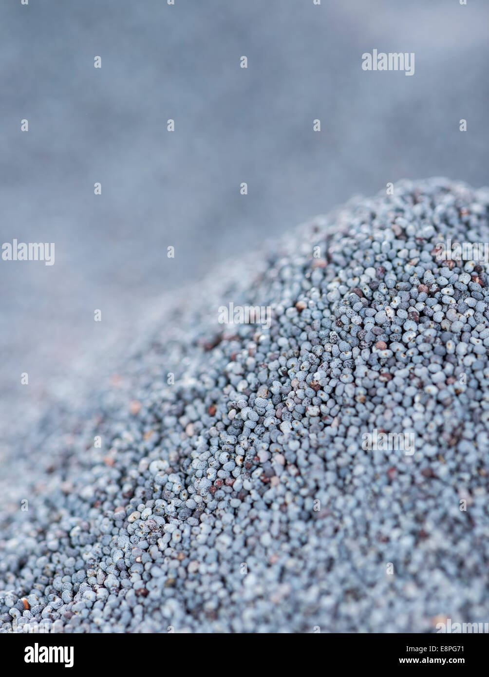 Poppyseed Background or Texture (detailed close-up shot Stock Photo - Alamy