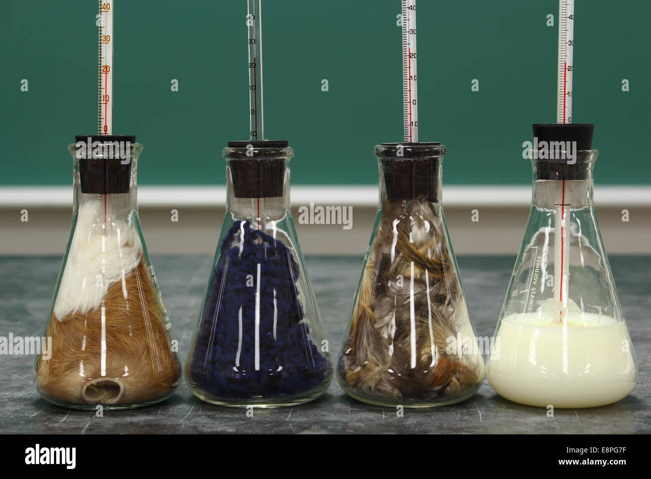 Laboratory experiment: the best insulation between the fur, wool ...