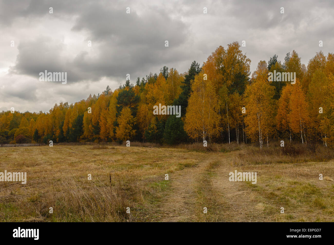 Gloomy sky hi-res stock photography and images - Alamy
