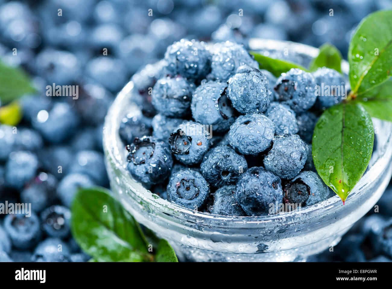 Heap of fresh harvested Blueberries (with water drops Stock Photo - Alamy
