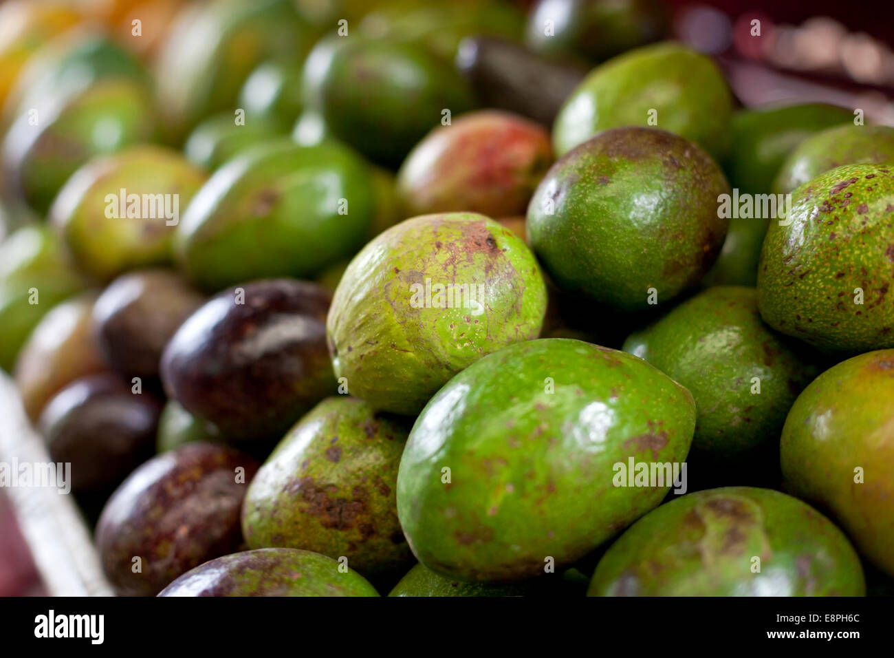 Avocado price hi-res stock photography and images - Alamy