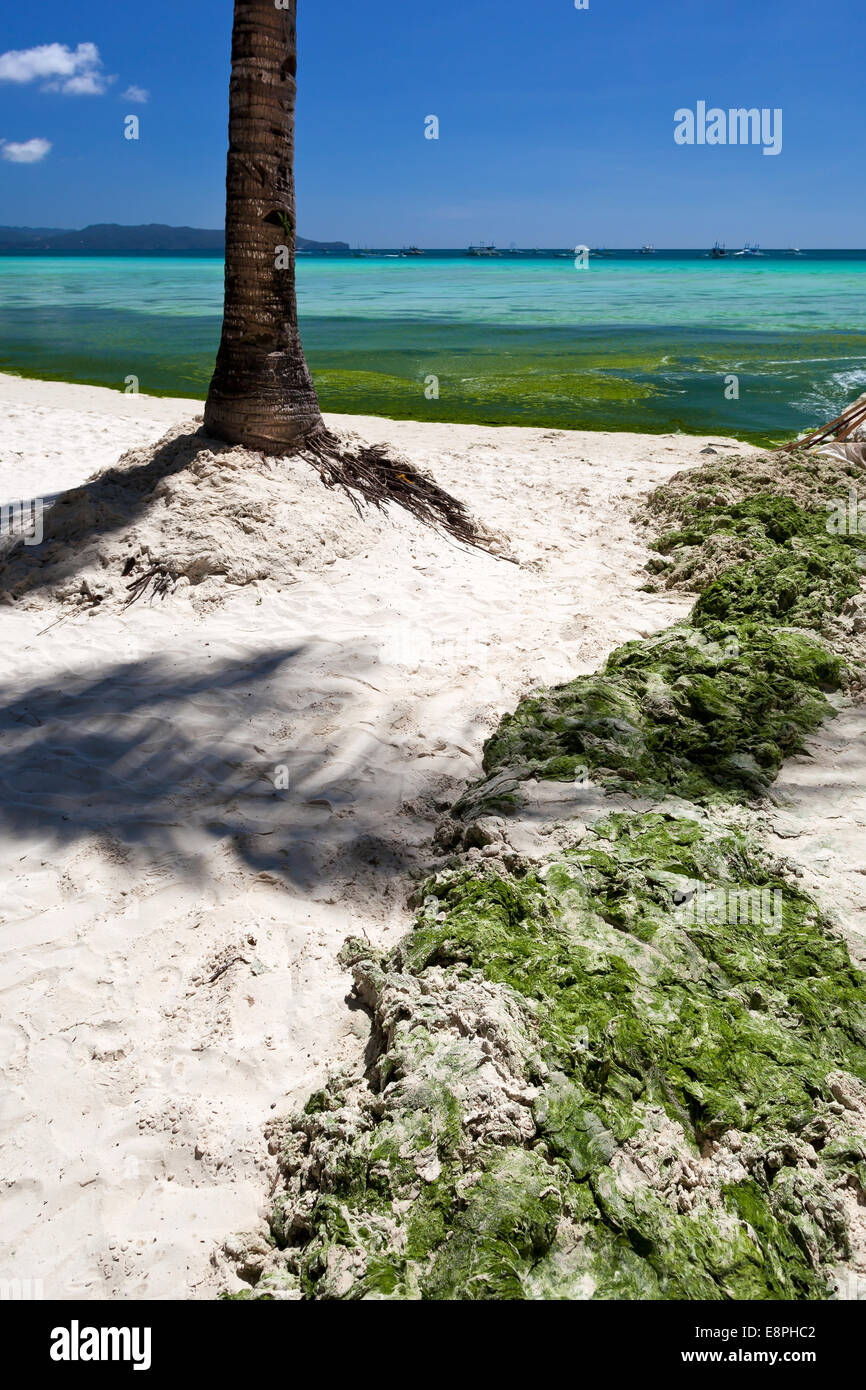 Boracay pollution hi-res stock photography and images - Alamy