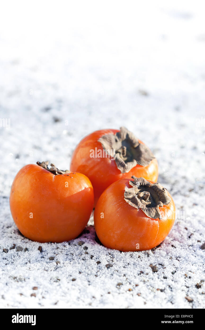 Three fresh orange persimmons on white snow, outside Stock Photo - Alamy