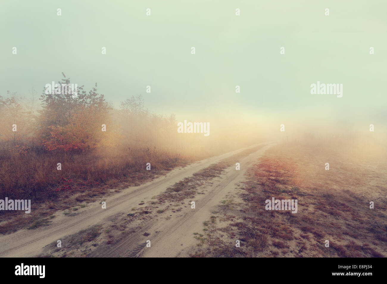 Country road hazy morning sun hi-res stock photography and images - Alamy