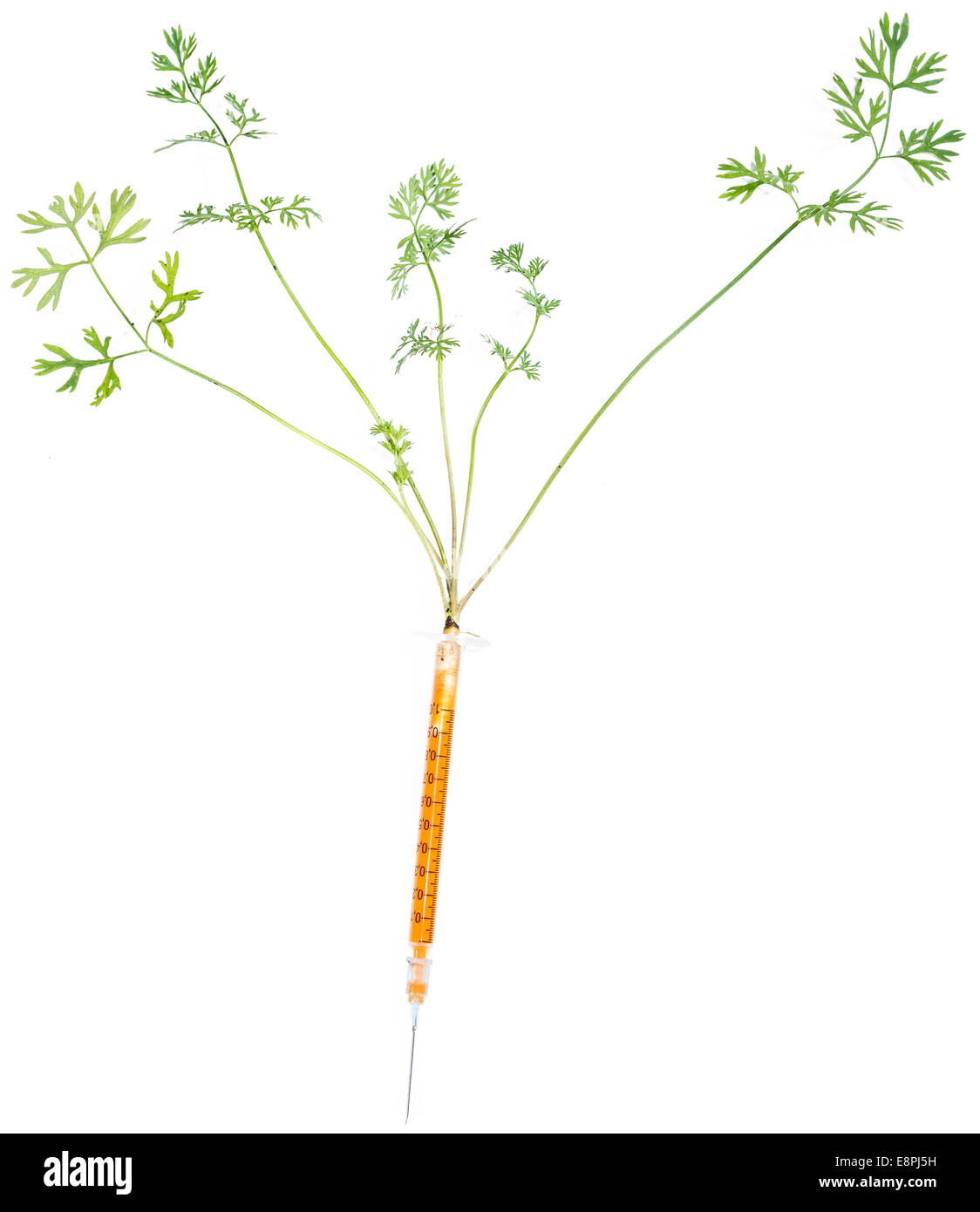 Carrot Injection isolated on pure white background Stock Photo - Alamy