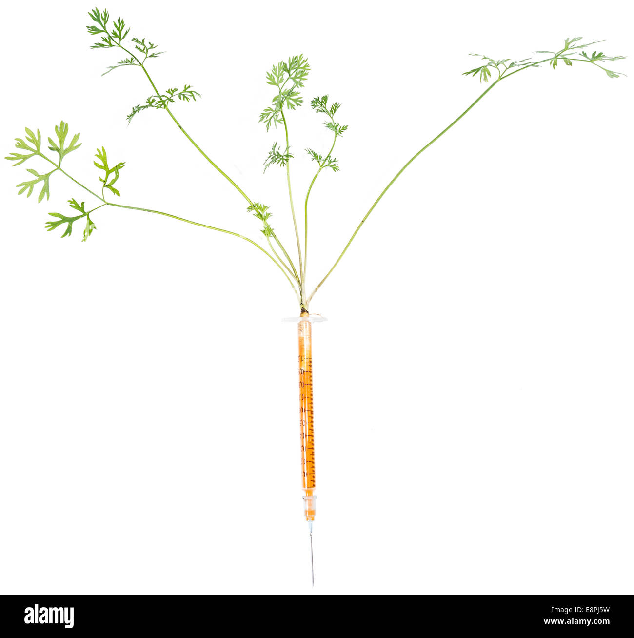 Vitamin Injection (Carrots) isolated on pure white background Stock ...
