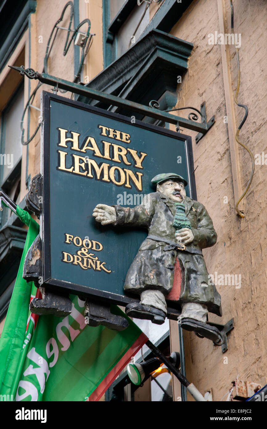 The Hairy Lemon Pub Sign, Dublin, Ireland Stock Photo - Alamy